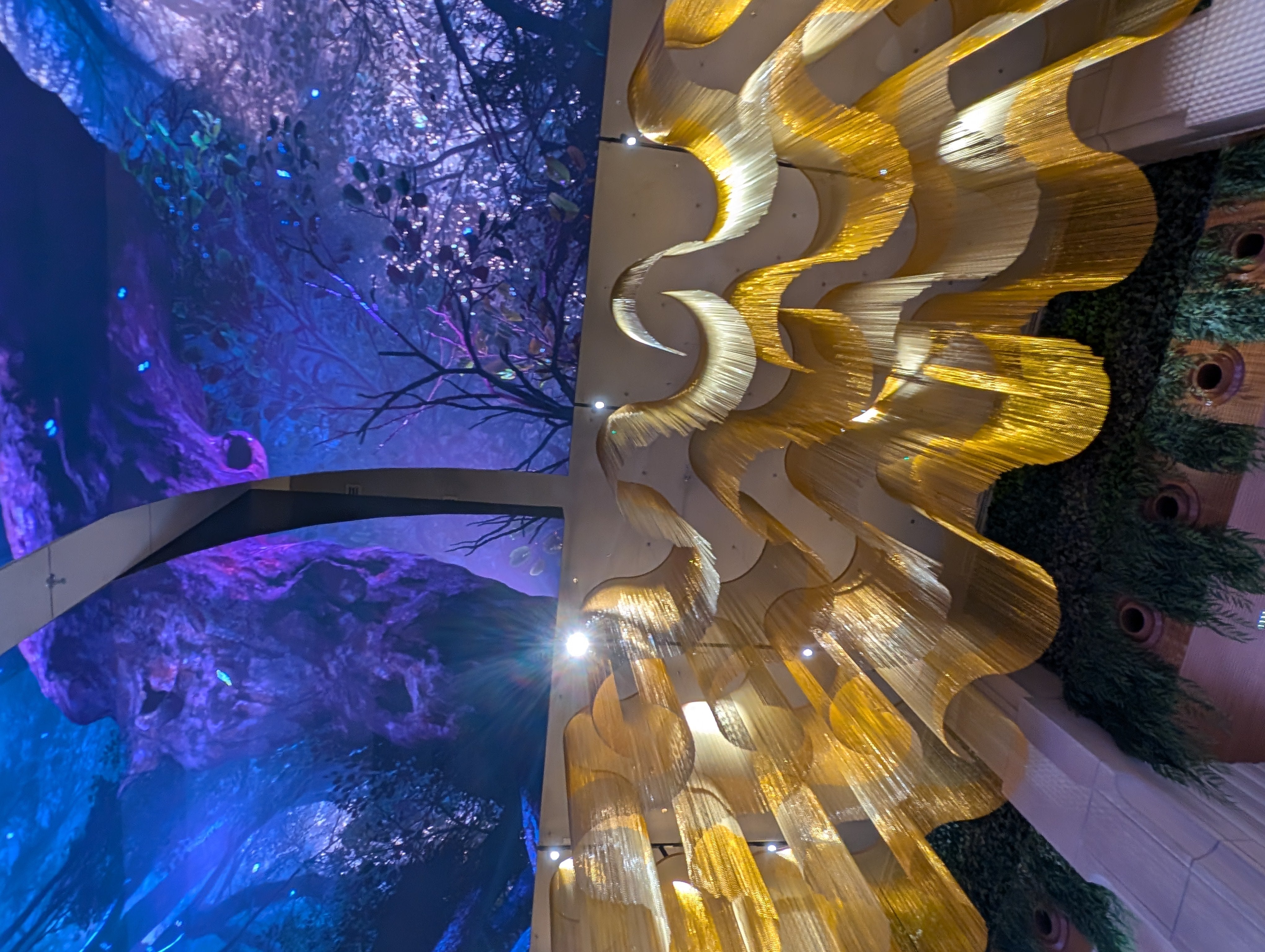 Zenon Restaurant: Exklusives WOW Erlebnis – meta-box@shop